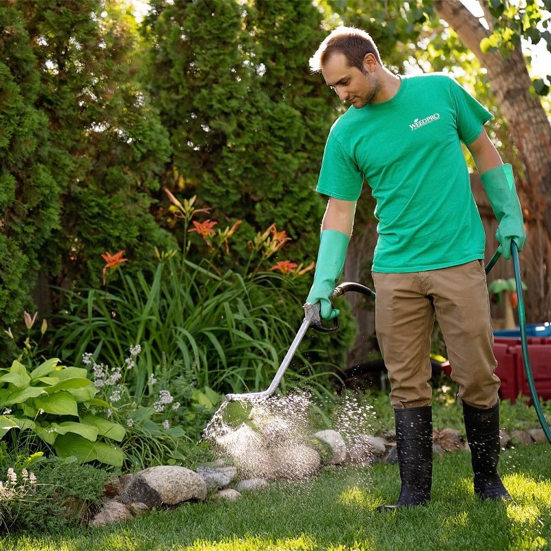 Weed Control in Regina, White City & Emerald Park | Weed Pro